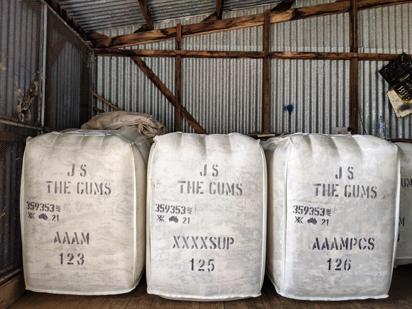 Wool – JS The Gums | Gringegalgona Merinos